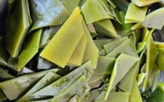 怎样煮海带好吃又营养_海带怎么煮不腥又软烂