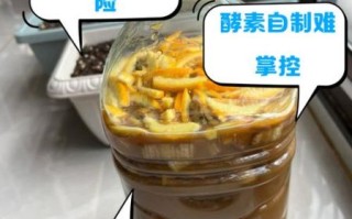 家庭自制酵素的做法_酵素发酵失败怎么办