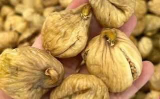 怀孕初期能吃无花果吗_孕妇吃无花果的注意事项