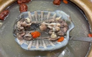 甲鱼汤怎么炖才没腥味_甲鱼汤制作方法步骤