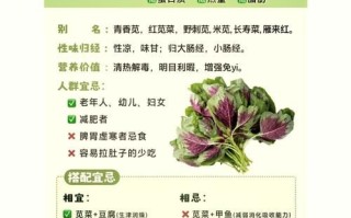 苋菜孕妇可以吃吗_孕妇吃苋菜的注意事项