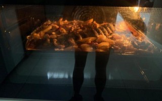 烤鱼电烤箱哪个牌子好_烤鱼电烤箱怎么用