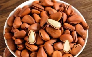 东北松子多少钱一斤_东北松子价格走势