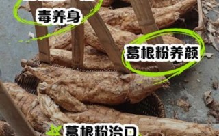 粉葛的功效与作用禁忌_哪些人不宜吃