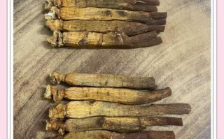 高丽参图片大全大图_如何辨别真假