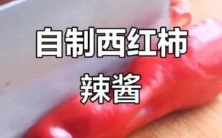西红柿辣椒酱怎么做_西红柿辣椒酱保存多久