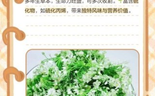 炒韭菜花要把花切掉吗_韭菜花要不要去花