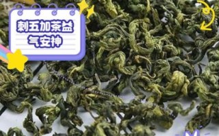 刺五加叶泡水喝的功效与禁忌_适合哪些人喝