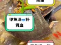 甲鱼汤的功效与作用及禁忌_什么人不能喝甲鱼汤