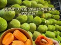 菠萝菠萝蜜视频在线播放观看高清_怎么免费看
