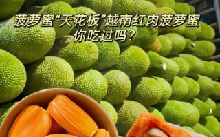 菠萝菠萝蜜视频在线播放观看高清_怎么免费看