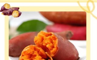 地瓜怎么吃最有营养_蒸烤煮哪种方式更好