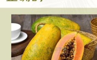 木瓜怎么吃_木瓜的正确吃法大全