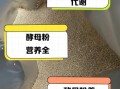营养酵母粉怎么吃_营养酵母粉的功效与作用