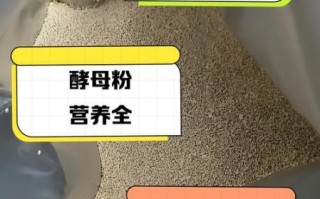 营养酵母粉怎么吃_营养酵母粉的功效与作用