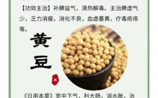 黄豆汤的功效与作用_黄豆汤怎么煮最营养