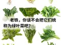 绿叶菜有哪些品种_怎么挑选更新鲜