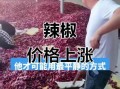 辣椒价格最新行情_辣椒为什么涨价