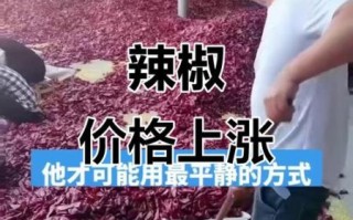 辣椒价格最新行情_辣椒为什么涨价