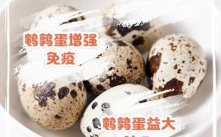 鹌鹑蛋的功效与作用及禁忌_鹌鹑蛋什么人不能吃
