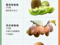 经常吃猕猴桃有什么好处_猕猴桃的营养价值与功效