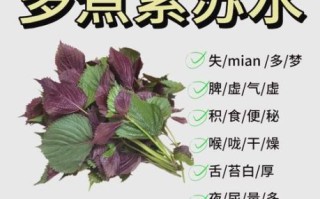 紫苏叶的功效与作用_紫苏叶的禁忌和食用方法
