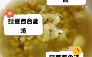 绿豆百合汤怎么做_绿豆百合汤的功效与禁忌