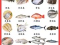 经常吃的海鱼有哪几种_哪些海鱼适合家常烹饪