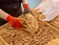 叫花鸡怎么做_正宗叫花鸡做法视频