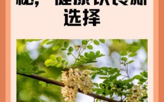 蒸槐花的热量是多少_减肥能吃吗