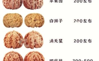 麻核桃品种价格_麻核桃图片怎么选