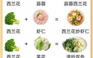 营养美食有哪些_如何搭配更健康
