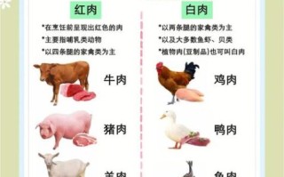 白肉有哪些_白肉和红肉的区别