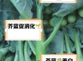 芥蓝菜的功效与作用_芥蓝菜的禁忌有哪些