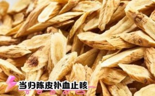 当归片泡水喝的功效与禁忌_当归片泡水一天喝几次
