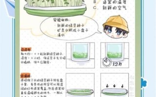 在家发豆芽的详细步骤_发豆芽失败的原因