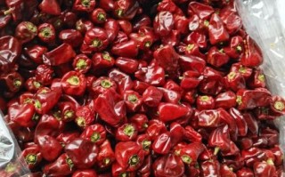 灯笼椒怎么挑选_灯笼椒和青椒区别