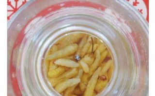 泡椒怎么泡才脆_泡椒需要焯水吗