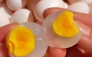 鸽子蛋小孩吃好吗_鸽子蛋营养价值高吗