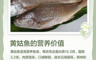 黄姑鱼的营养价值_黄姑鱼适合什么人吃