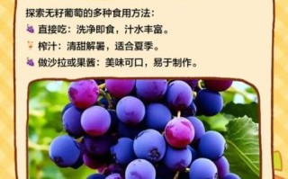 无籽葡萄有哪些品种_无籽葡萄品种大全