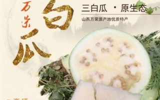 三白瓜适合哪些人吃_三白瓜的禁忌人群有哪些