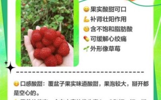 树莓果的功效与作用_树莓果怎么吃最好