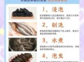 海参怎么发最快_干海参最简单的泡发方法