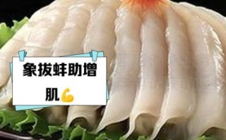 象拔蚌营养价值_象拔蚌功效与作用