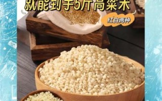 高粱米饭怎么做好吃_高粱米饭升糖指数高吗