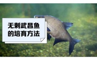 武昌鱼为什么叫武昌鱼_武昌鱼名称由来