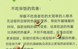 减肥为什么一定要吃早餐_不吃早餐的危害
