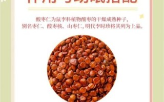 酸枣仁怎么吃治失眠_酸枣仁治失眠的正确用量