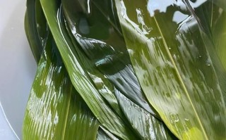 咸粽子怎么包好吃_咸粽子配料有哪些